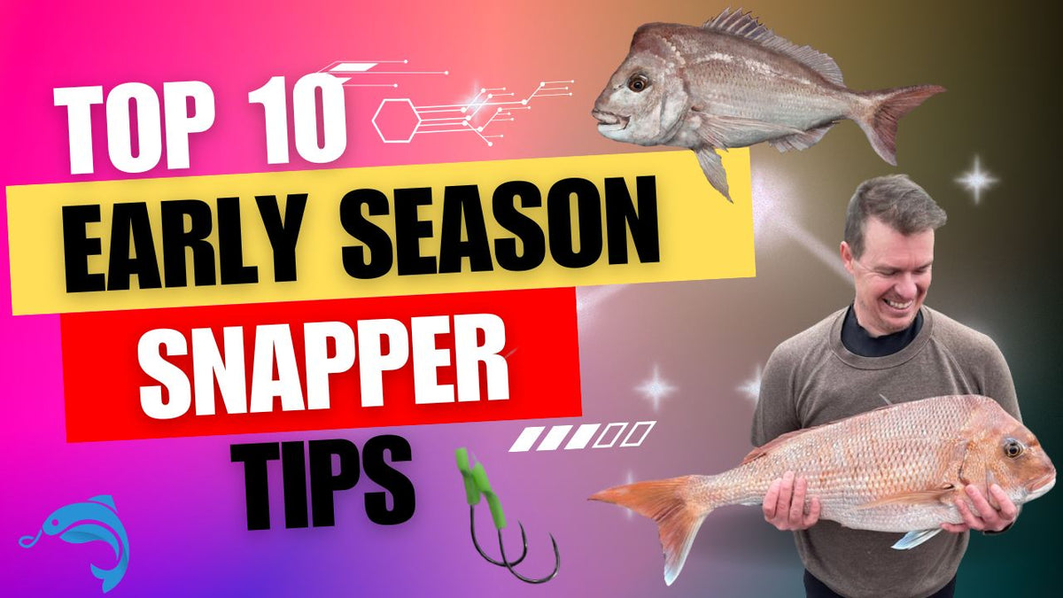 Top 10 Early Season Snapper Tips – Hook in Mouth Tackle